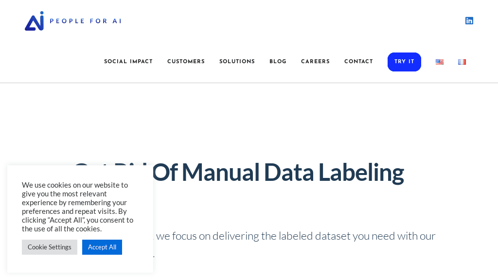 Data Labeling | Expert Insights and Best Practices | Futureen