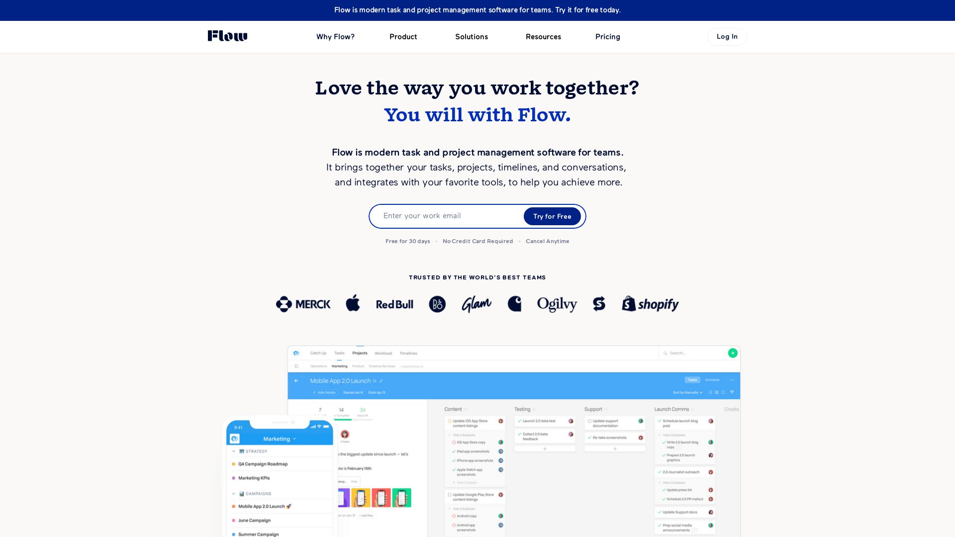Flow | Boost Your Team's Potential with Task Management | Futureen