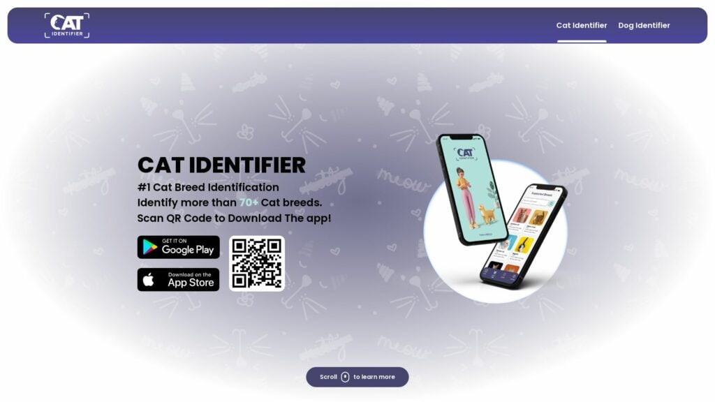 Cat Identifier 🐱- Identify 70+ Cat Breeds with Ease | Futureen