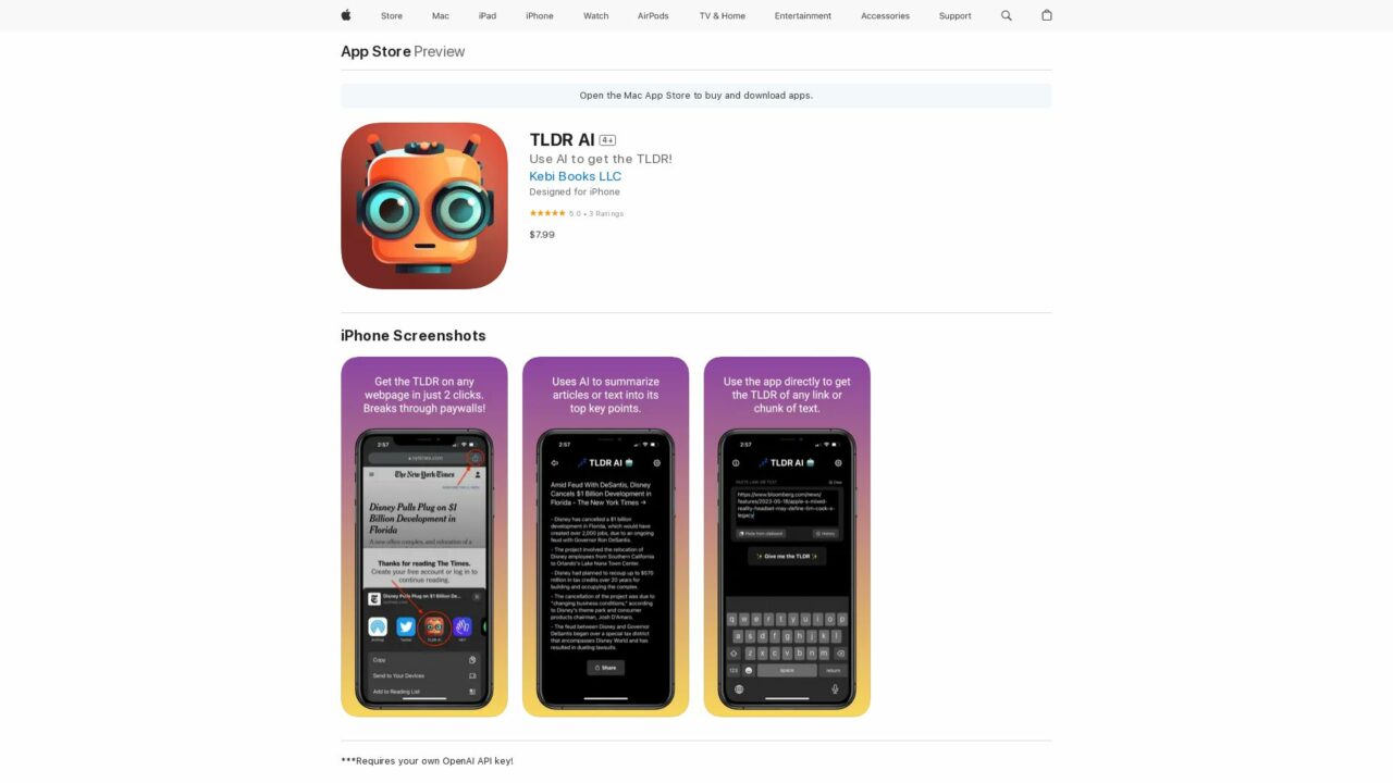 TLDR AI 📚 Summarize Articles & Gain Quick Insights | Futureen