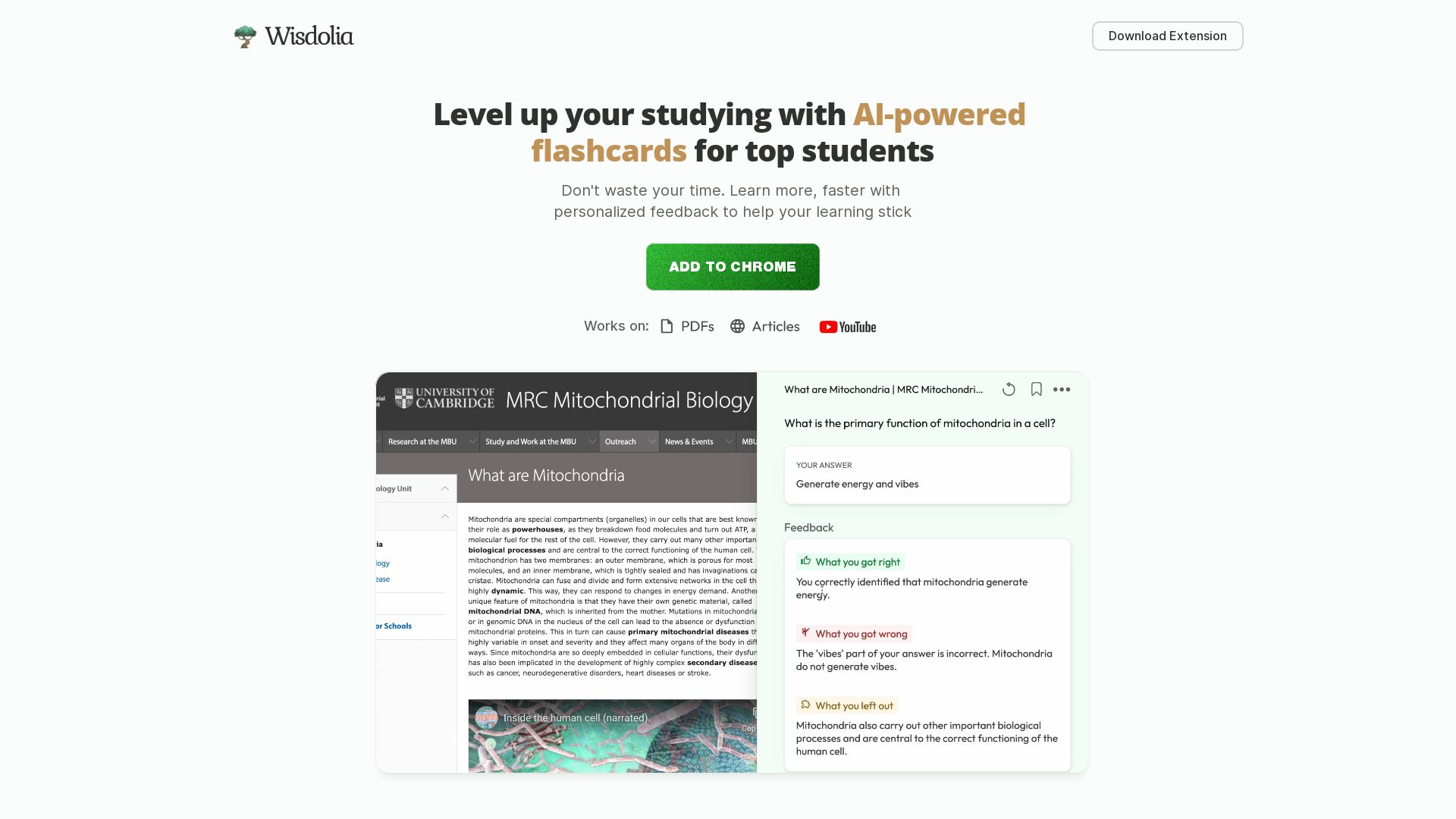 Wisdolia | Flashcards for Improved Web Learning Retention | Futureen