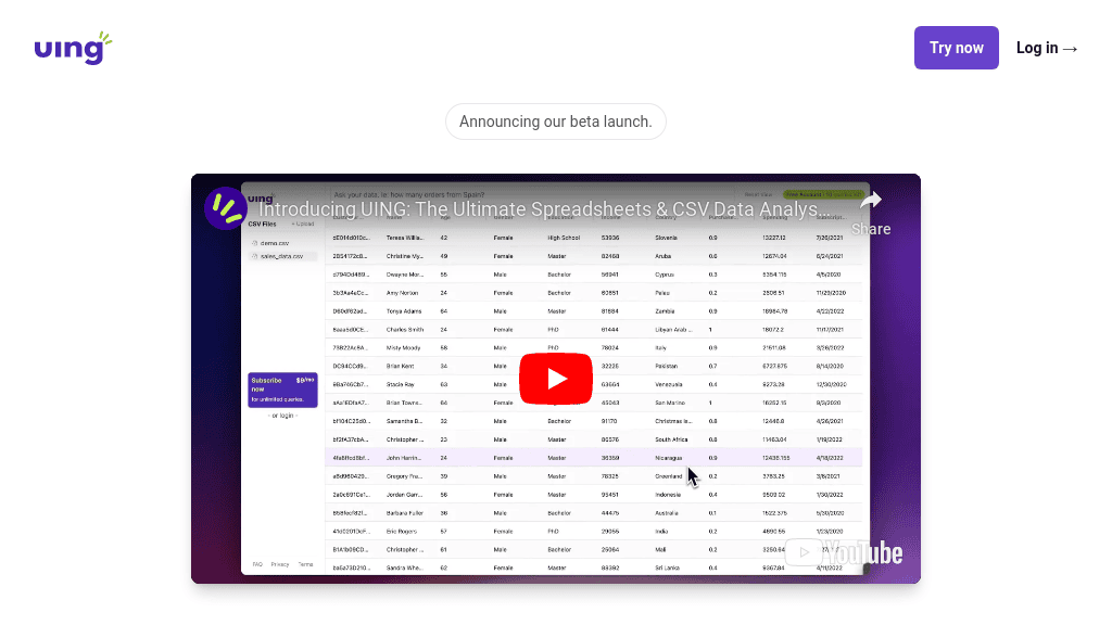 Uing | Simplifying CSV Data Analysis for Users | Futureen
