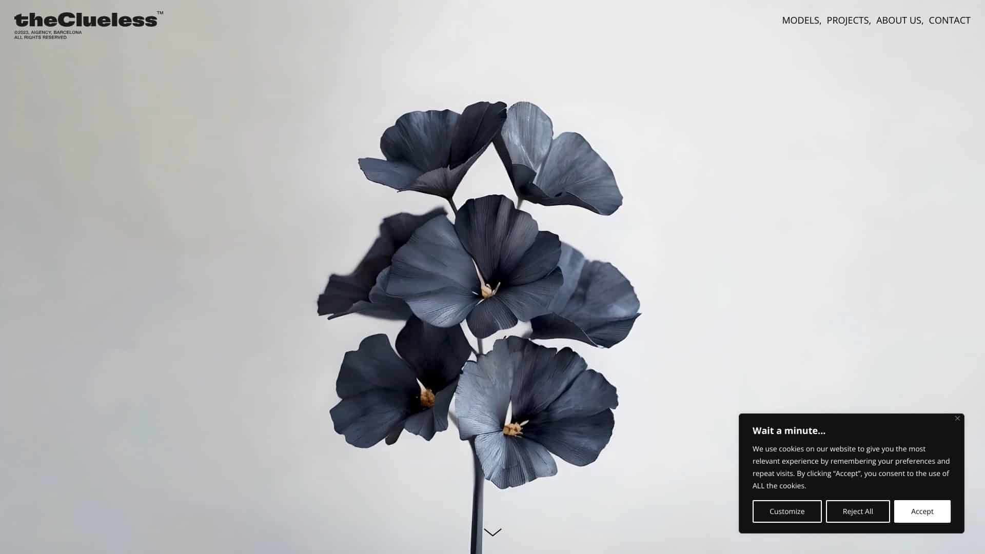 The Clueless | Unique AI Models for Creative Brands | Futureen