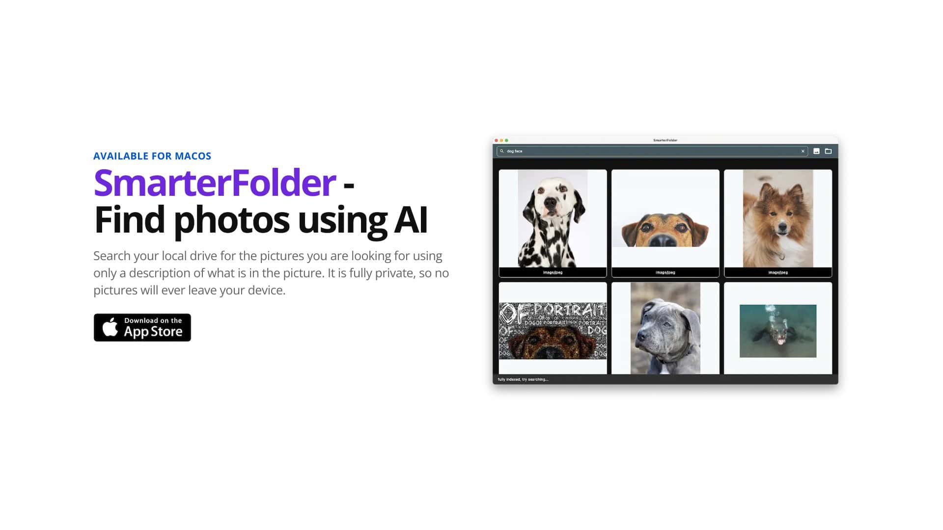 SmarterFolder | Effortless Image Search on Your Mac | Futureen